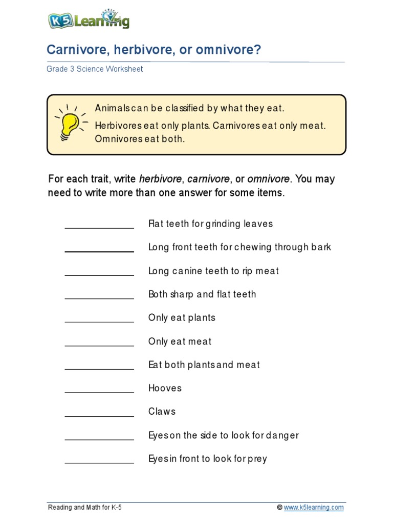 Grade 3 Carnivore Herbivore Onmivore A | PDF | Science & Mathematics