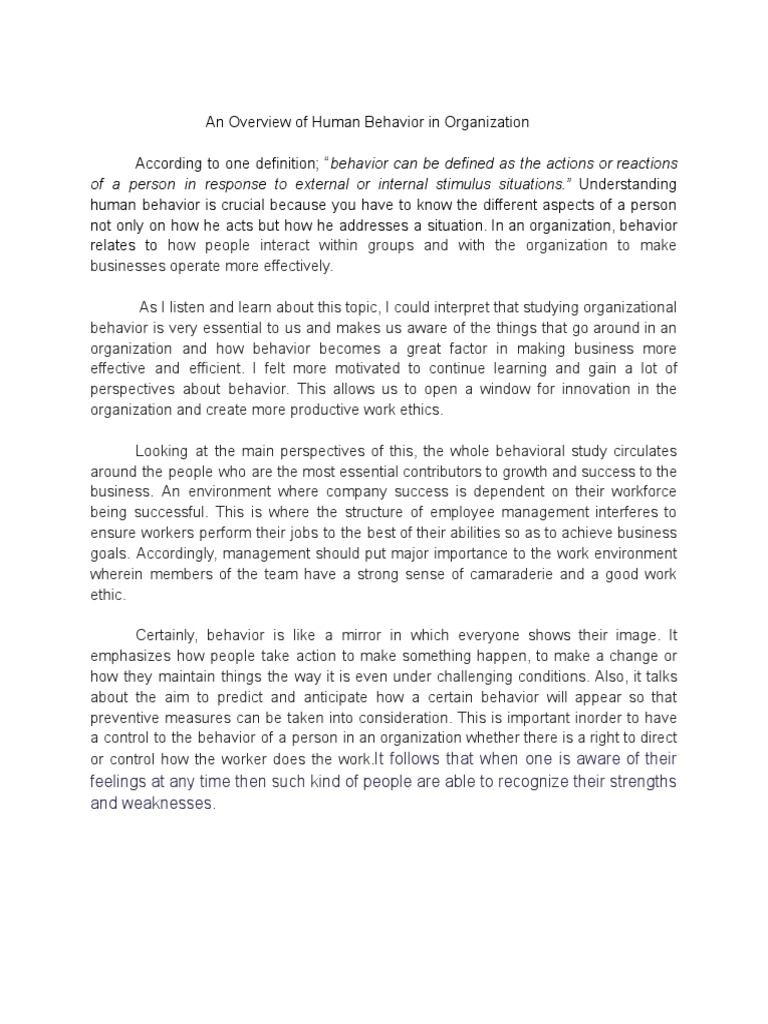 BA213 - Reflection Paper Topic 1 | PDF