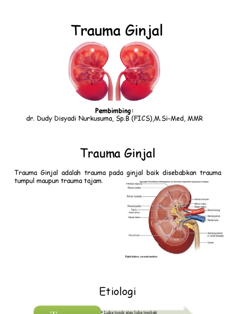 Trauma Ginjal | PDF