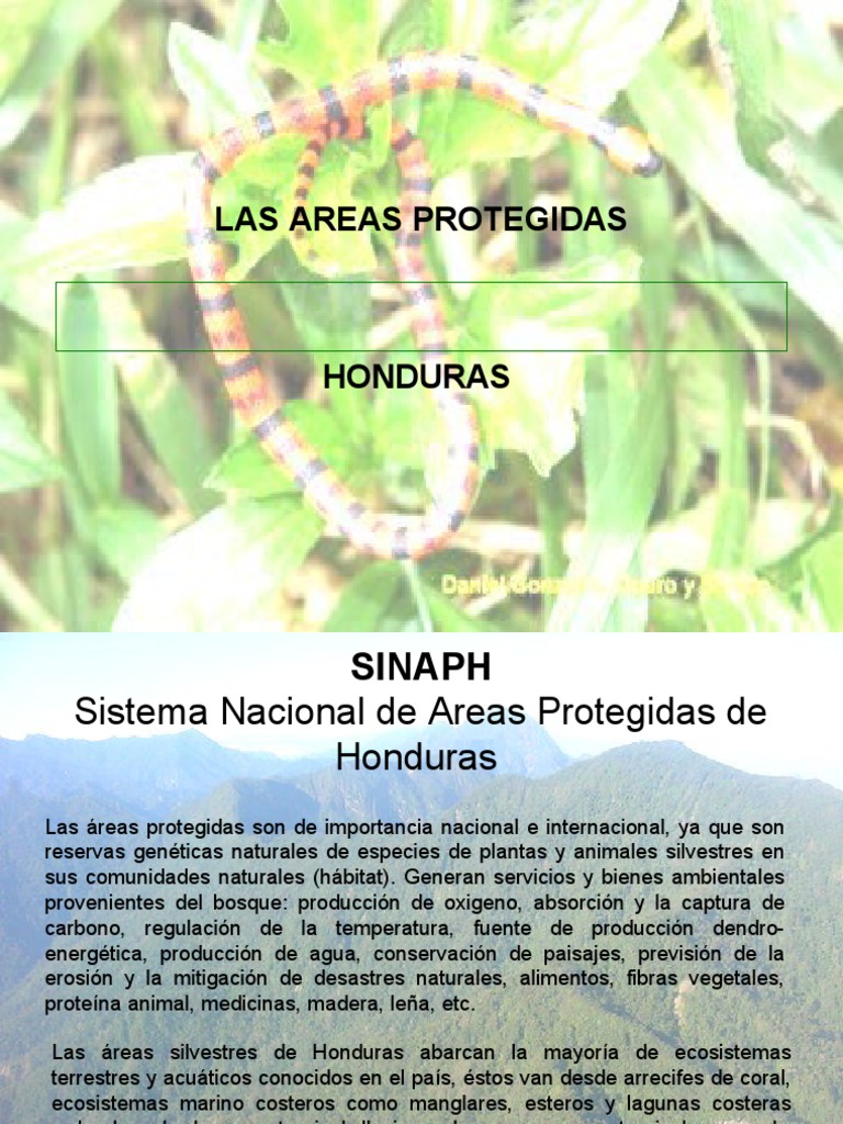 Áreas Protegidas de Honduras: Biodiversidad y Gestión | PDF | Honduras ...