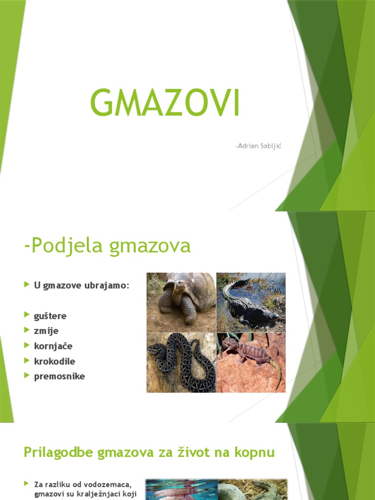 GMAZOVI | PDF