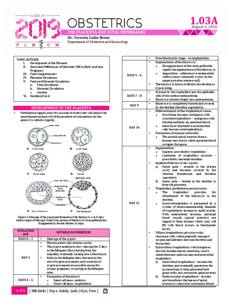 OB 1.03A The Placenta and Fetal Membranes | PDF | Placenta | Zoology