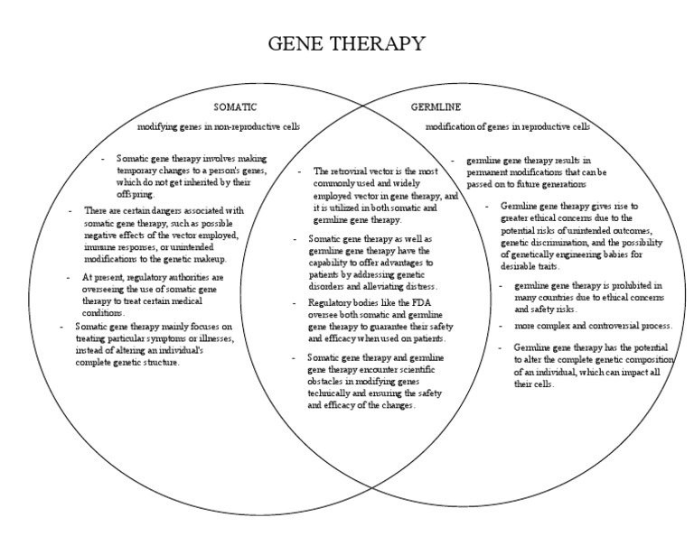 Somatic Germline | PDF | Gene Therapy | Gene