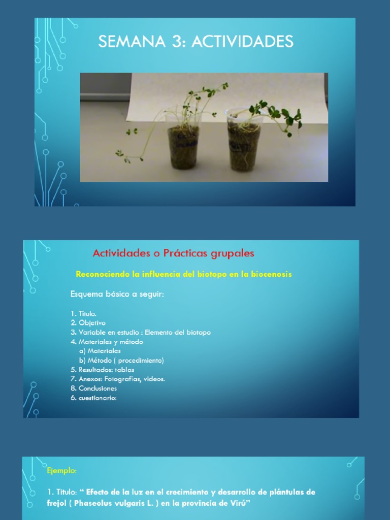 Practica Grupal-Mads-Semana 3 | PDF