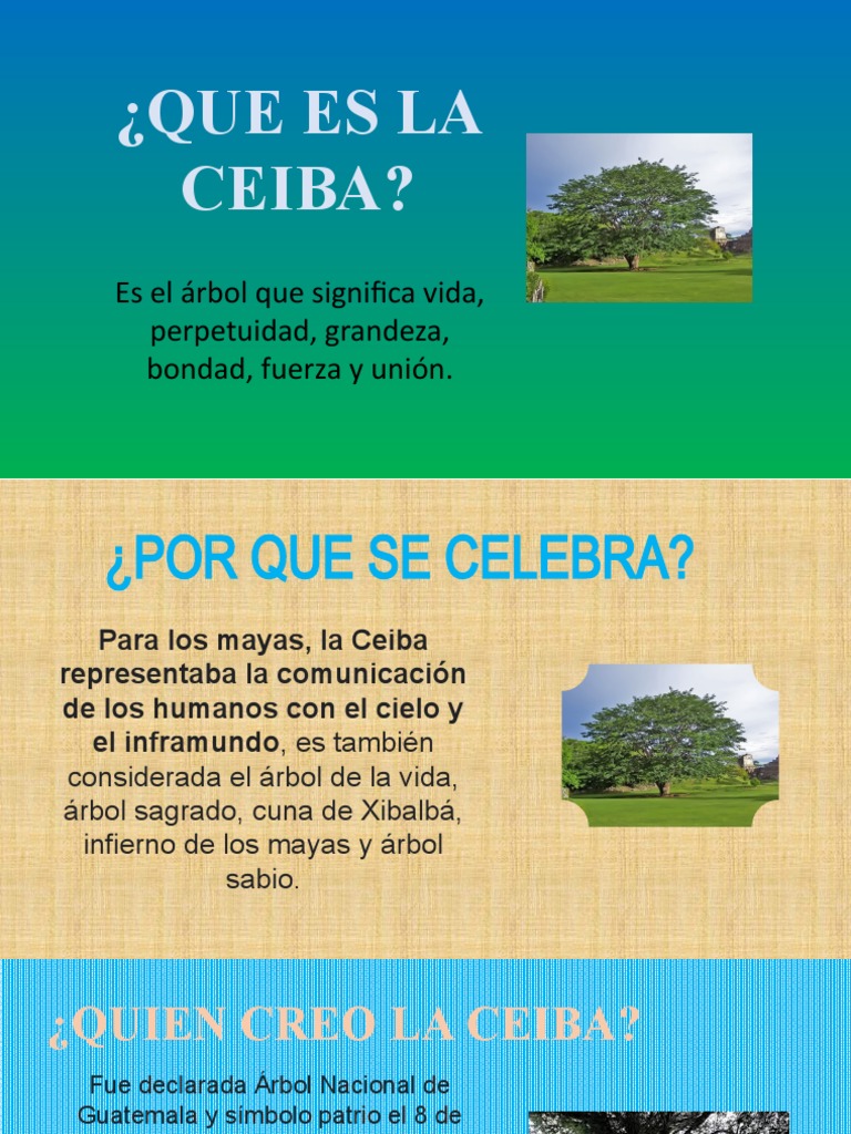 La Ceiba: Símbolo Patrio de Guatemala | PDF