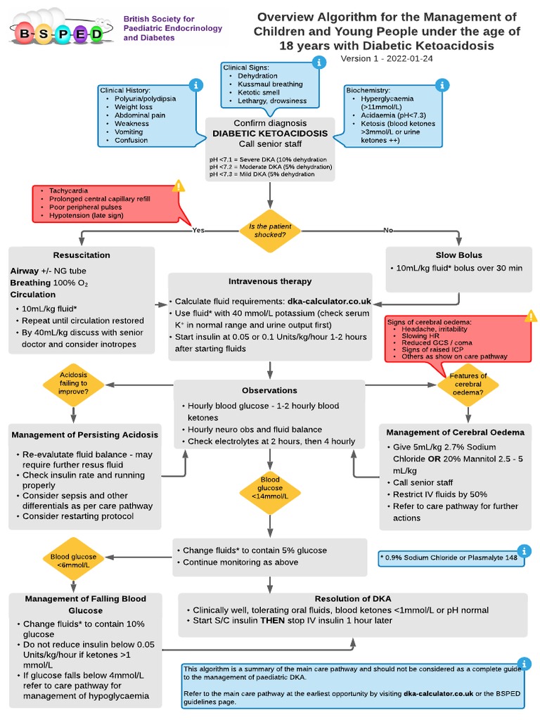 Dka Algorithm | PDF | Human Diseases And Disorders | Medical Specialties