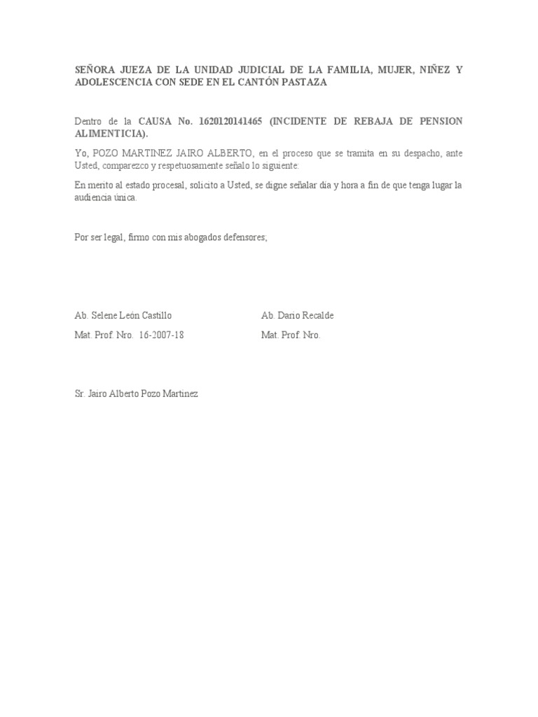 Escrito Solicitud de Audiencia | PDF