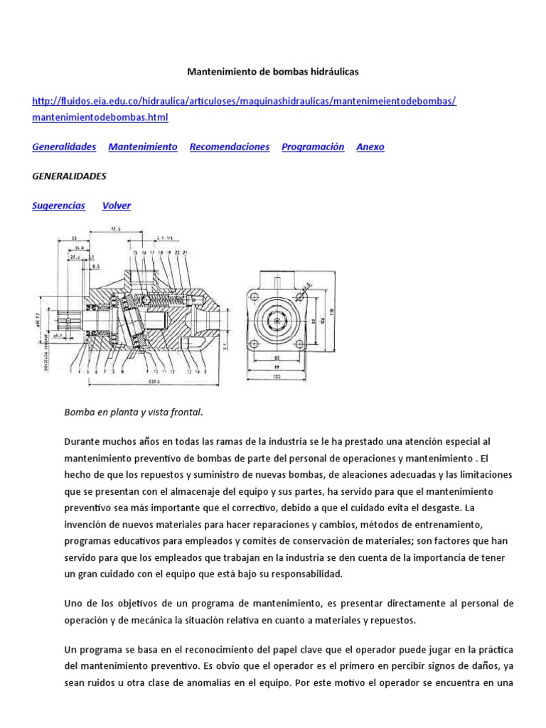 Mantenimiento de bombas hidráulicas | PDF | Bomba | Rodamiento (Mecánico)