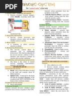 Science-Reviewer-3rd-Quarter For Grade 10 Biology | PDF | Motor Neuron ...