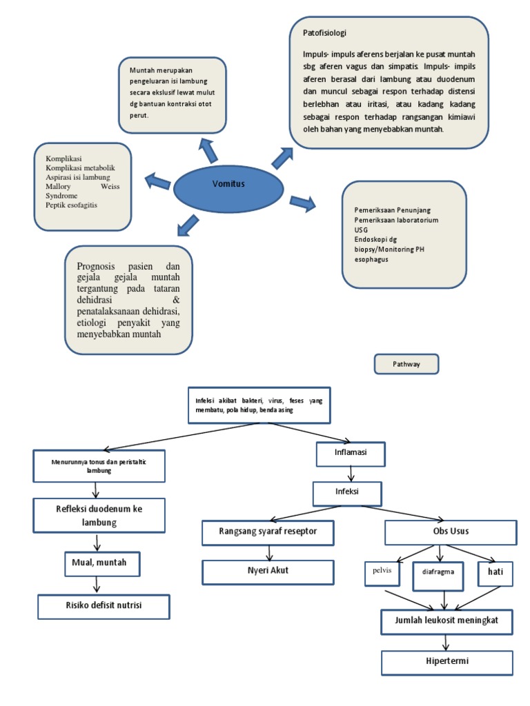 Mind Mapping Minggu 1 Vomitus | PDF