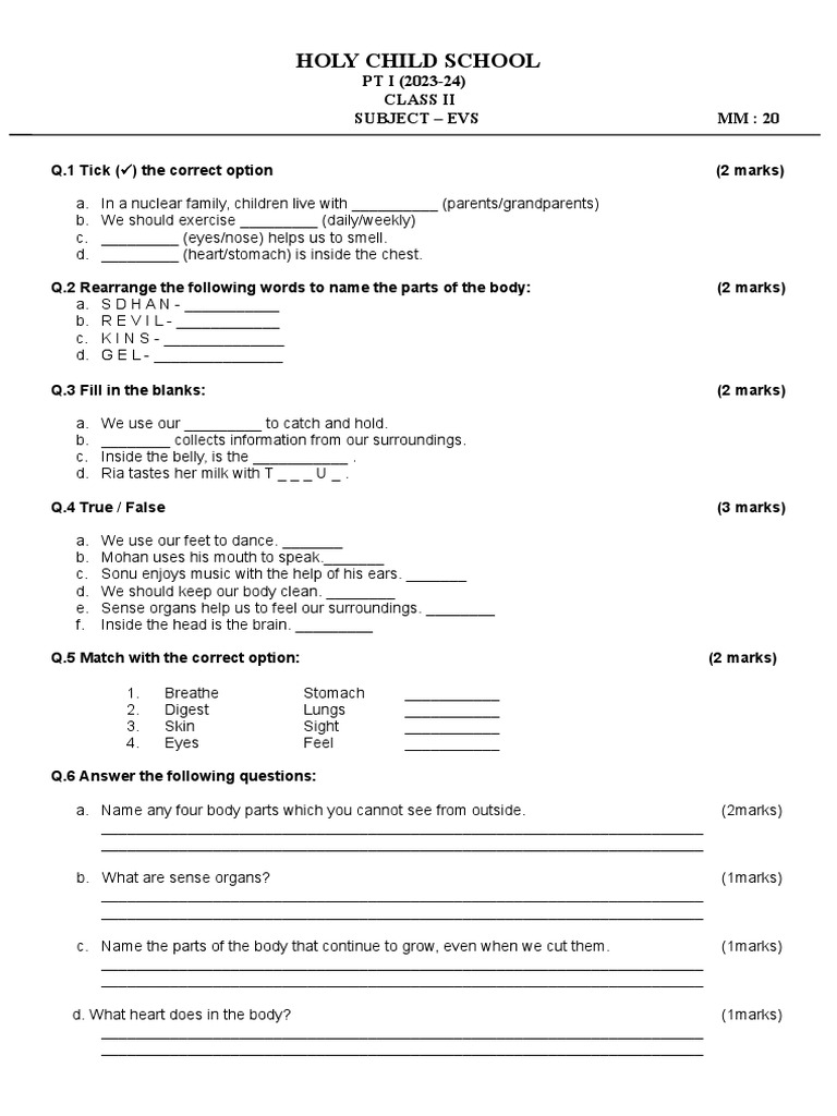 PT 1 Class II EVS (2023-2024) | PDF | Senses | Anatomy