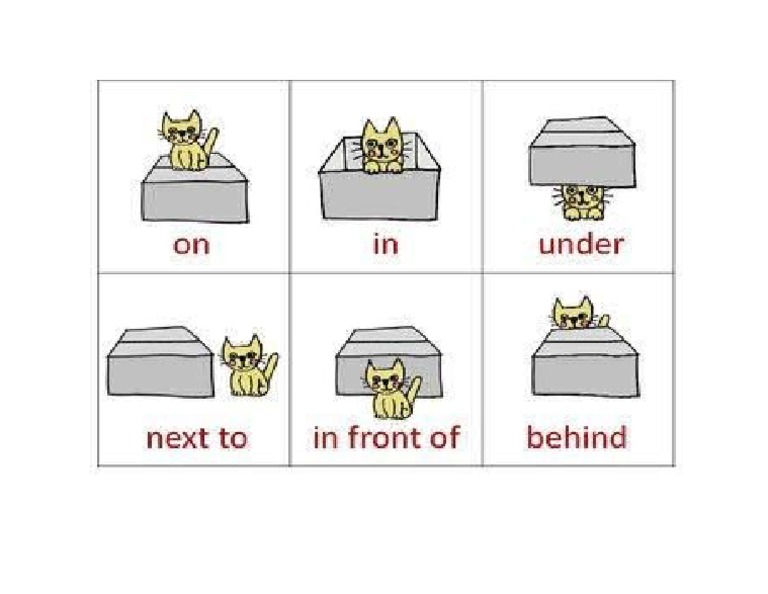 Cat Positions | PDF