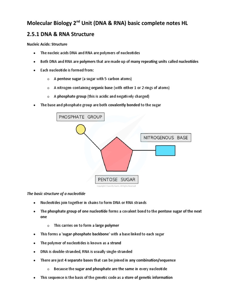 Molecular Biology Unit 2 (DNA & RNA) | Descargar gratis PDF ... Molecular Biology Unit 2 (DNA & RNA) | Descargar gratis PDF ...