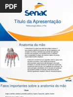 Aula 6 Ossos, Músculos, Inervação e Vascularização Do Punho e Mão | PDF ...