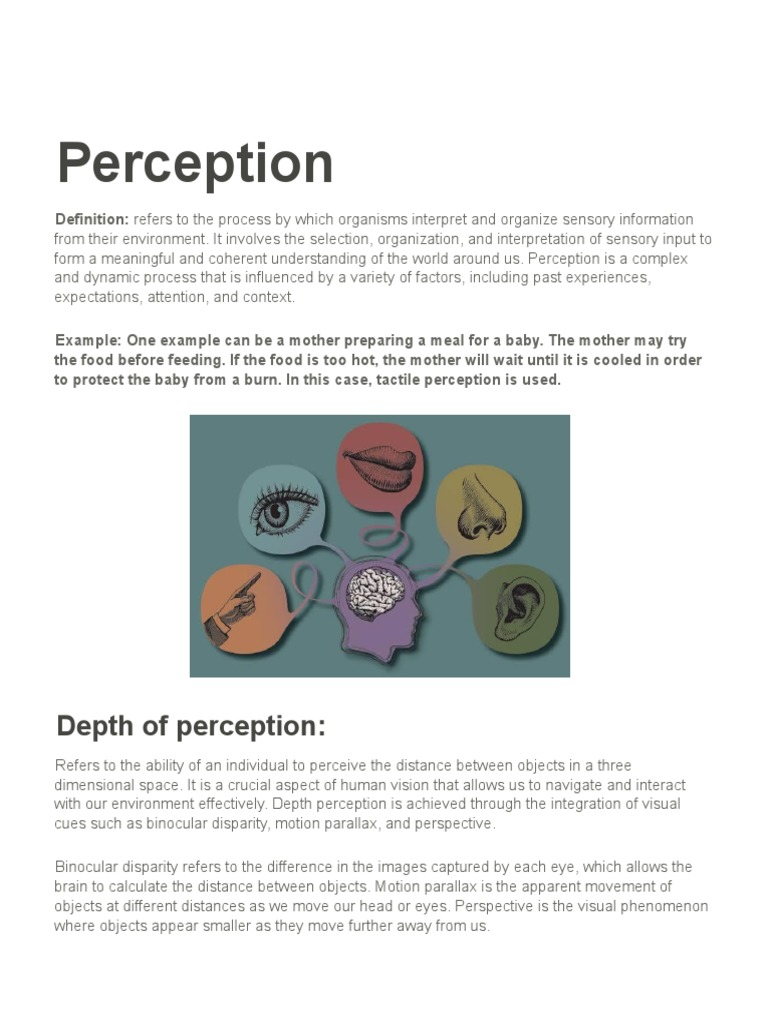 Wa0017. | PDF | Perception | Behavioural Sciences