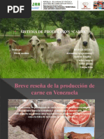 Ficha Técnica Del Pasto Imperial (Axonopus Scoparius, Hitchc) | PDF ...