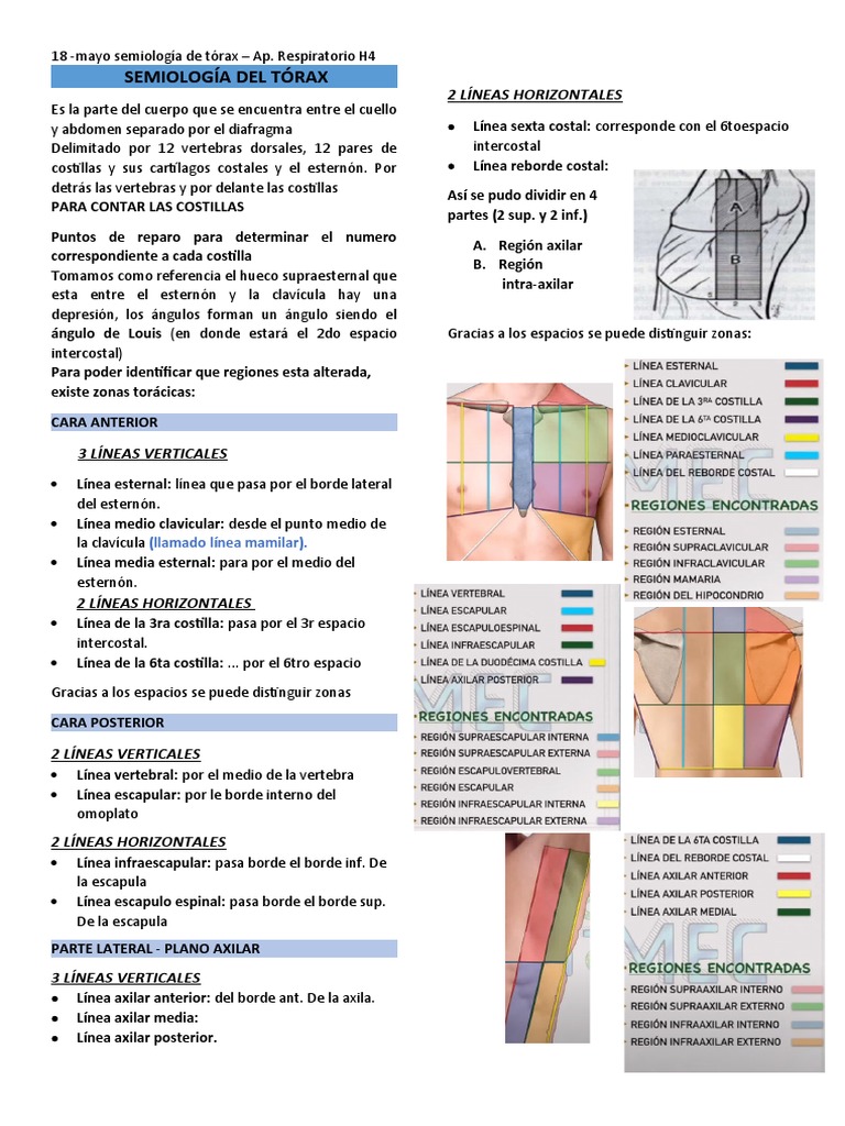 Resumen SEMIOLOGIA DE TORAX | PDF | Tos | Neumología