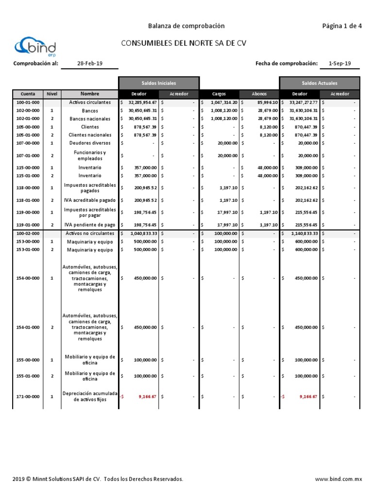 Ejemplo Balanza de Comprobación Bind ERP | PDF | Dinero | Economias