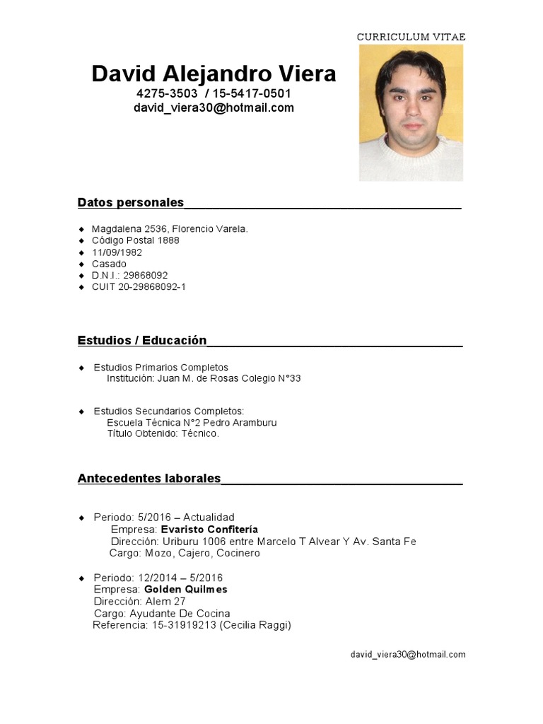 CV David Viera Actualizado | PDF