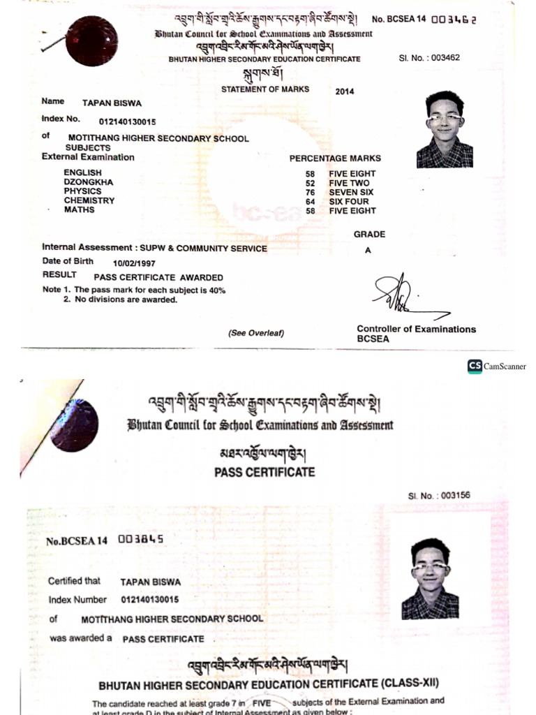 XII Marksheet | PDF