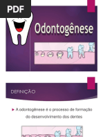Contatos Oclusais Resumo | PDF | Dente humano | Anatomia dental