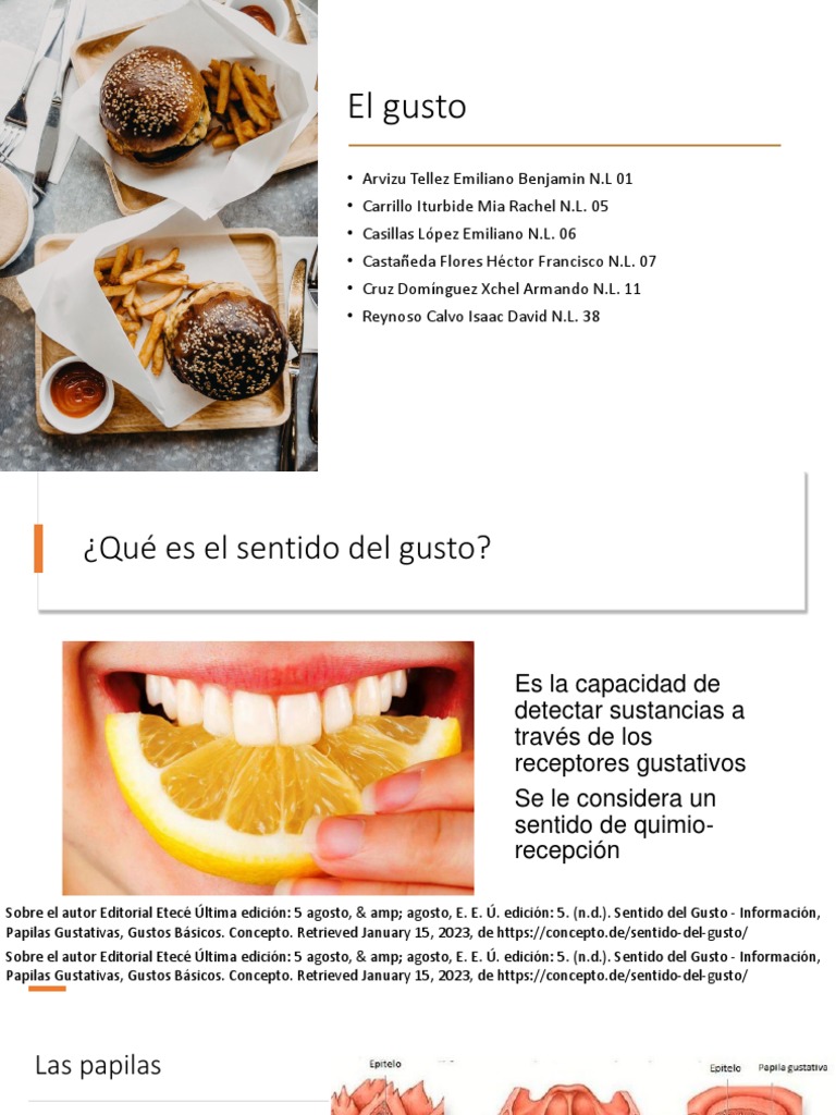 El Sentido Del Gusto | PDF | Gusto | Fisiologia Animal