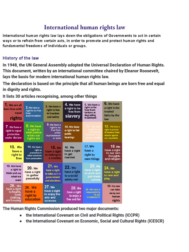 International Human Rights Law | PDF