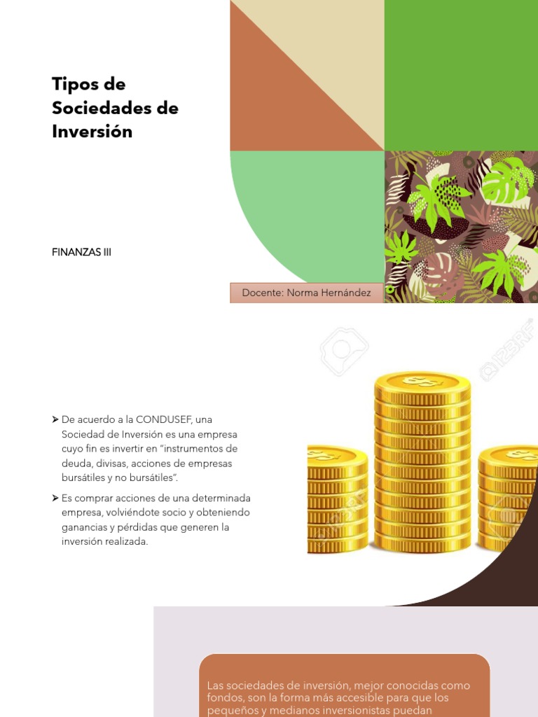 Tipos de Sociedades de Inversión | PDF | Empresa de inversiones | Compartir (Finanzas)