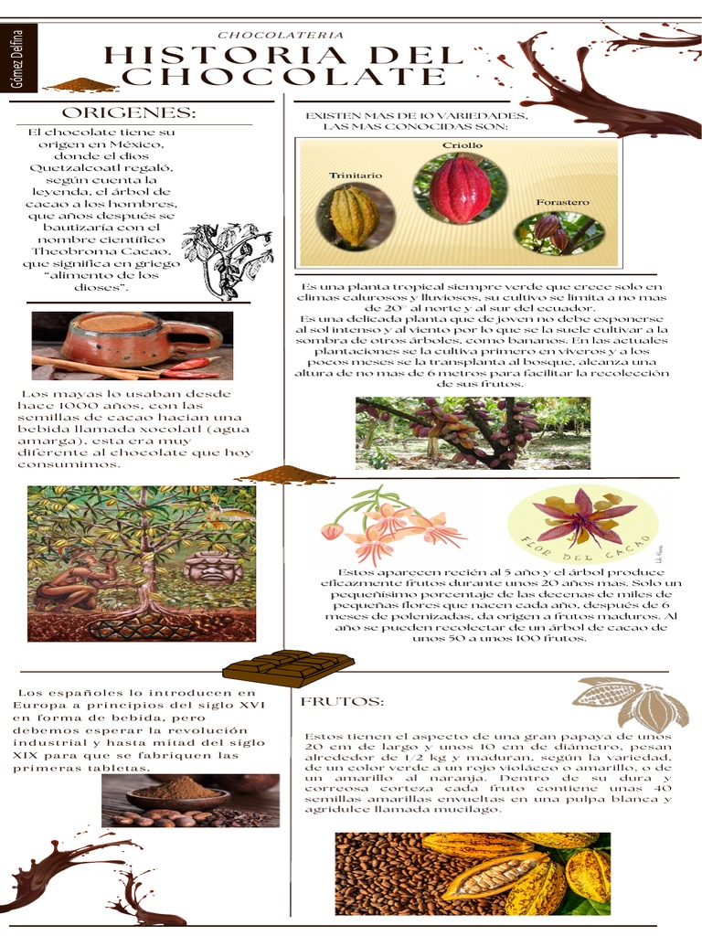 Historia Del Chocolate | PDF | Chocolate | Plantas
