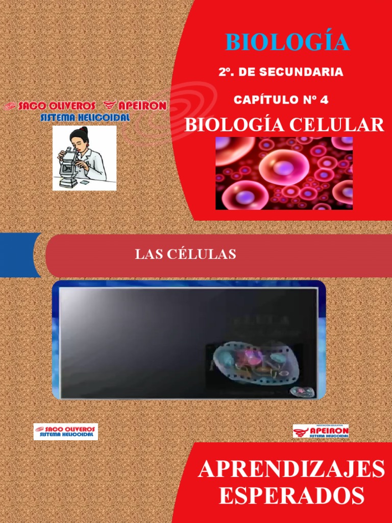 Capítulo 4 Biologia Celular Pdf Biología Celular Citoplasma