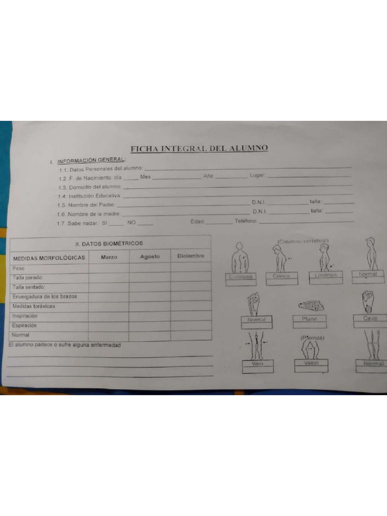 Ficha de Educacion Física | PDF