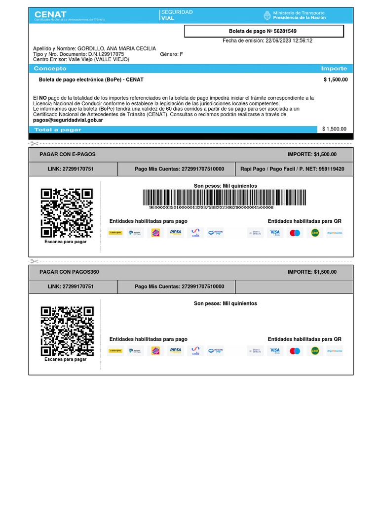 Boleta de Pago CENAT Nº 56281549 | PDF | Argentina