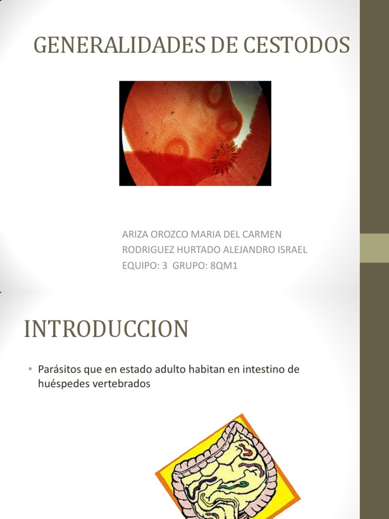 Generalidades de Cestodos 2 | PDF | Protostomas | Especialidades Medicas