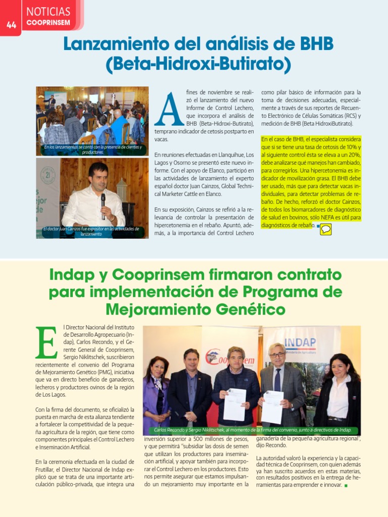 Lanzamiento Del Análisis de BHB (Beta-Hidroxi-Butirato) | PDF