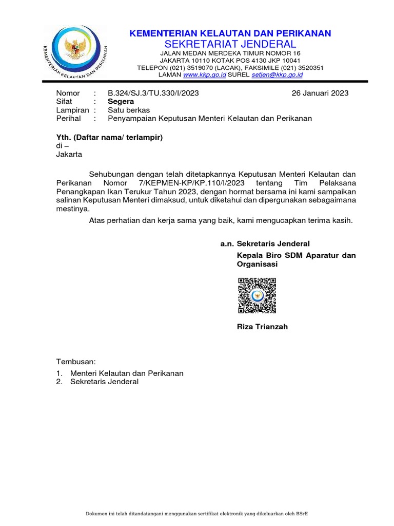 Penyampaian Kepmen Tim PIT | PDF | Kesehatan Holistik