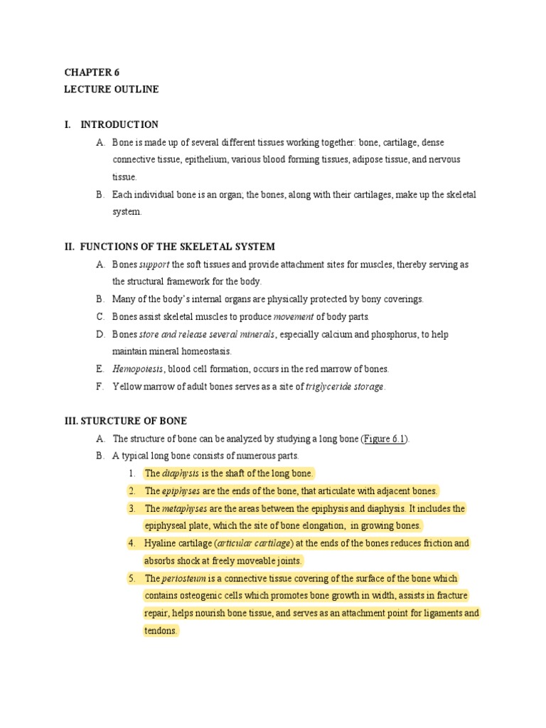 Bone Physiology Notes | PDF | Bone | Osteoblast