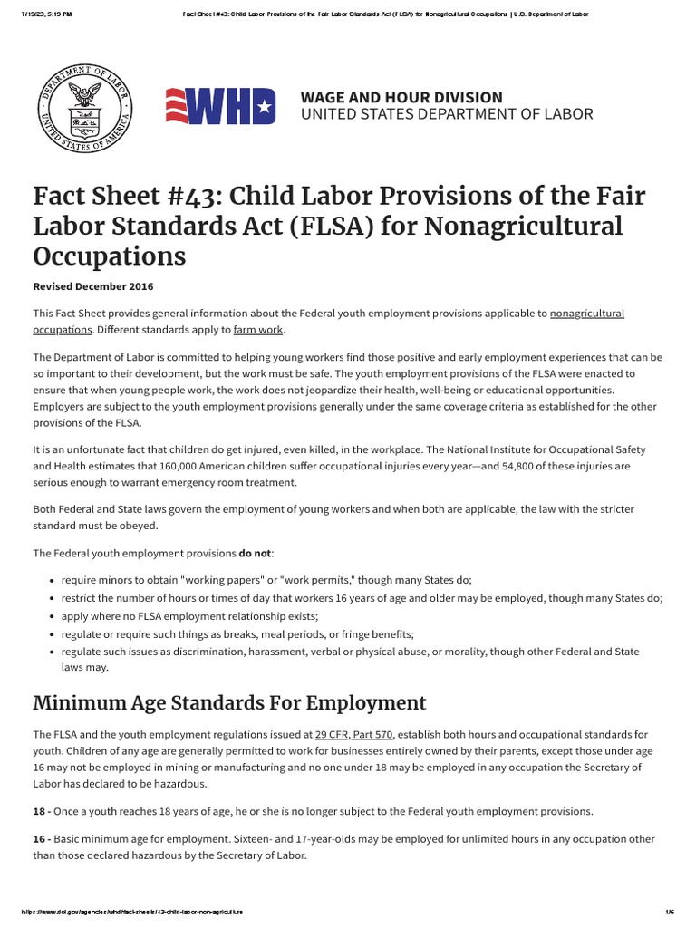 Department of Labor FLSA Fact Sheet | PDF | Employment | Swimming Pool