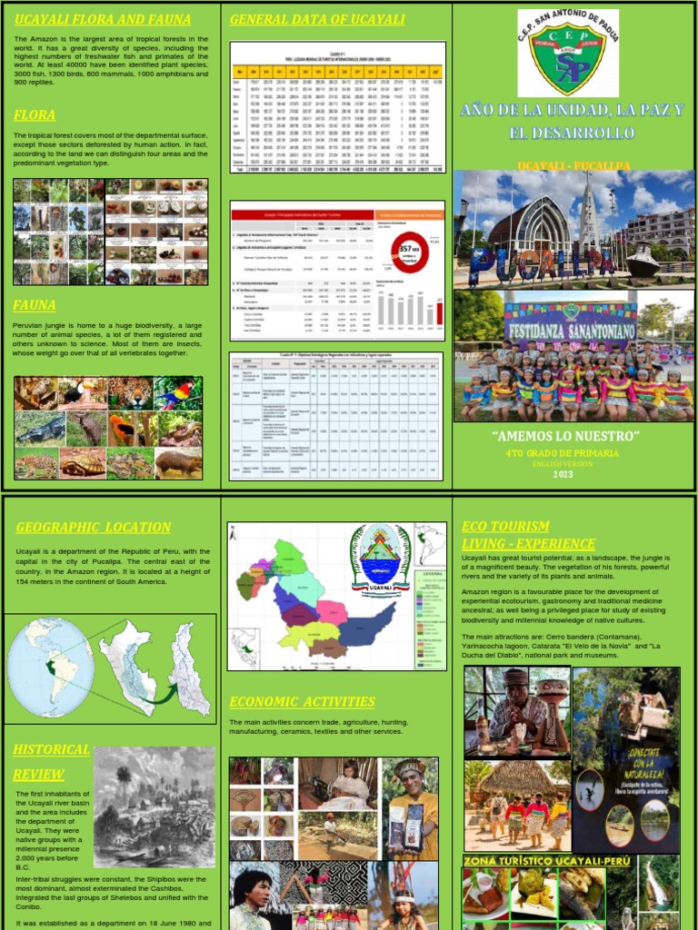 Triptico Ucayali-English | PDF | Amazon Rainforest | Biodiversity
