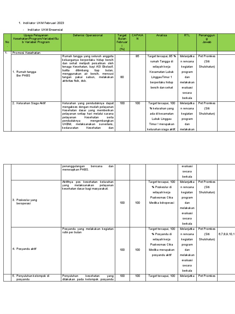 RTL Capaian Indikator Ukm MARET REMAJA | PDF