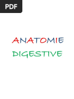 Anatomie des anses grêles et mésentère | PDF | Péritoine | Spécialités ...