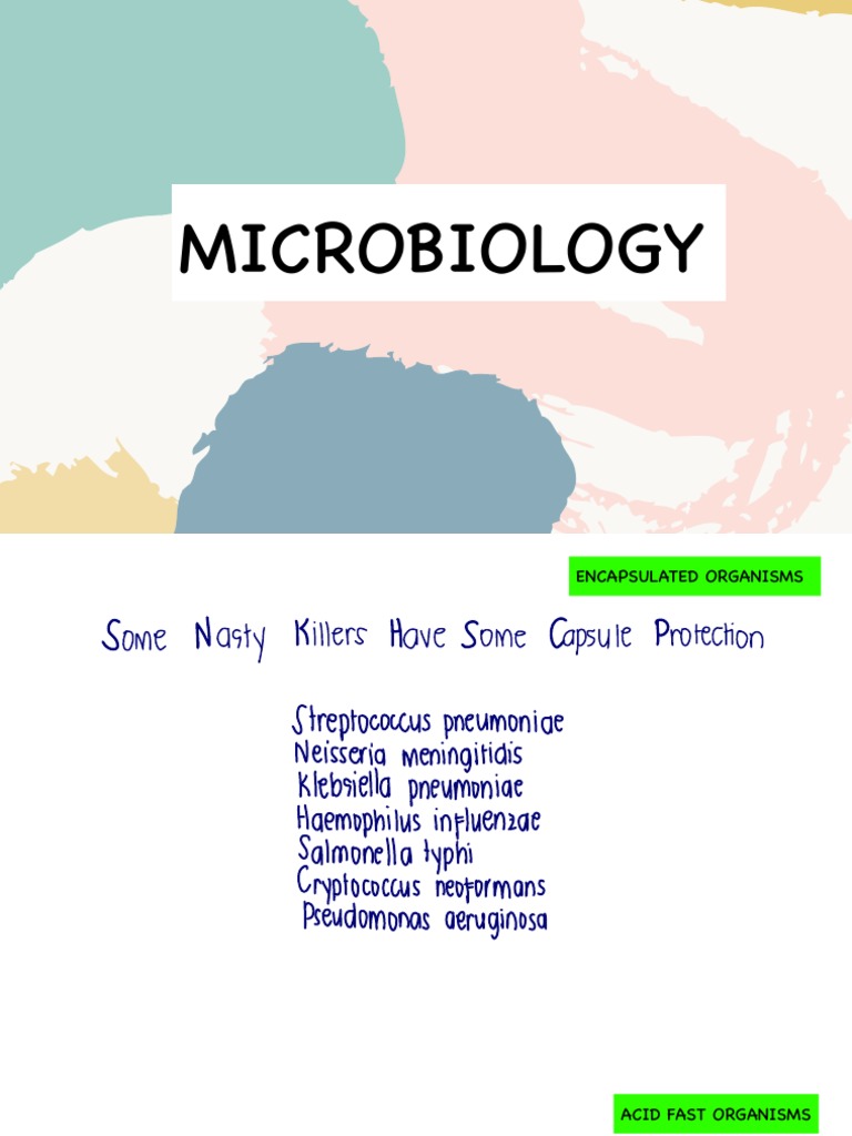 Bacte - Flash Cards | PDF | Wellness | Science & Mathematics