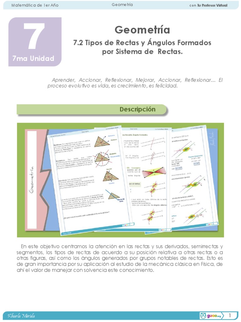GEOMETRÍA. Tipos de Rectas y Ángulos Formados Por Sistema de Rectas | PDF | Triángulo | Ángulo