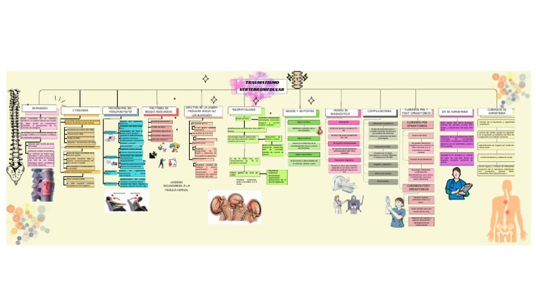 Mapa Conceptual de Traumatismo Vertebromedular | PDF | Lesión | La ...