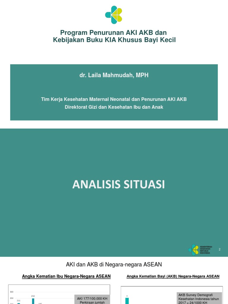 Kebijakan AKI AKB-Buku KBK | PDF