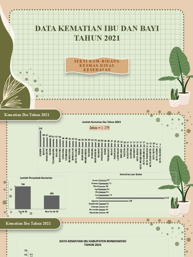 Data Kematian Ibu Dan Bayi Tahun 2021 Pdf