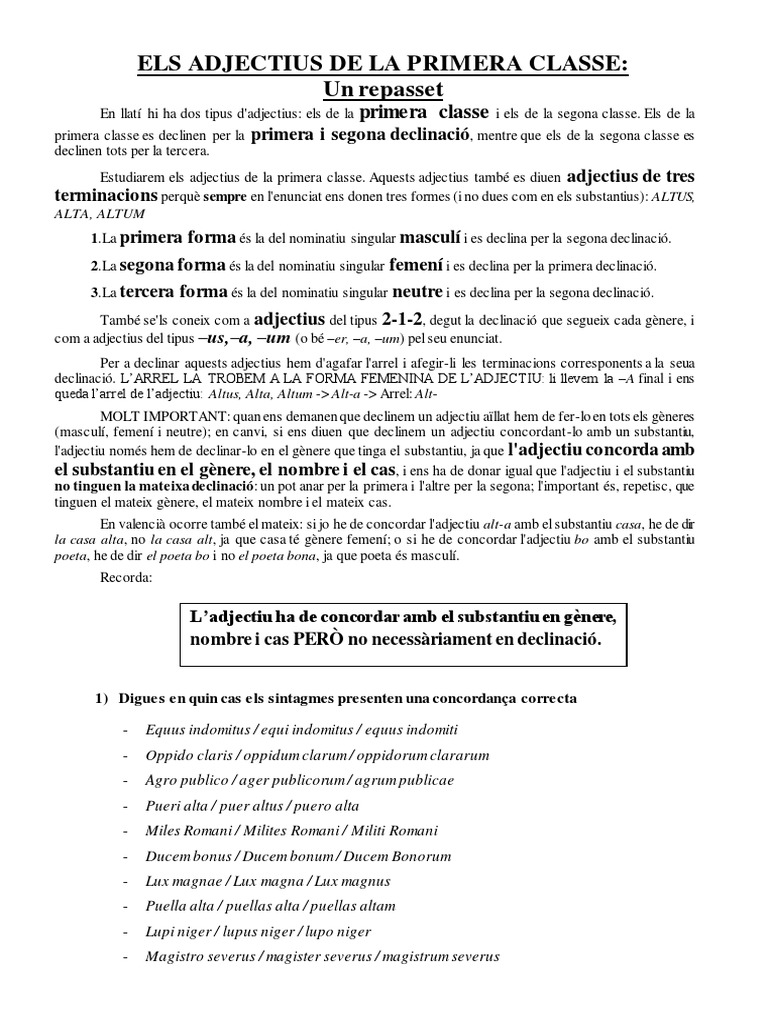 Repaso Adjetivos | PDF