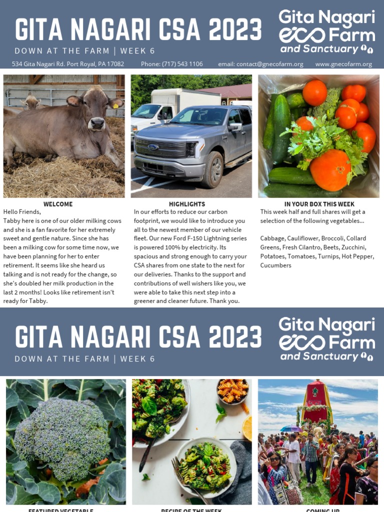 Gita Nagari CSA 2023 Week 6 | PDF | Broccoli | Foods