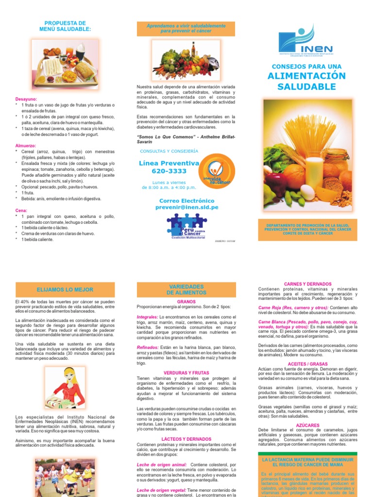Triptico Alimentacion Saludable | PDF | Alimentos | Cereales