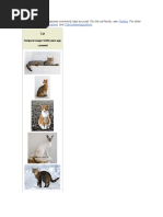 Wild Cat Family List by Lineage - Family | PDF | Felidae | Panthera