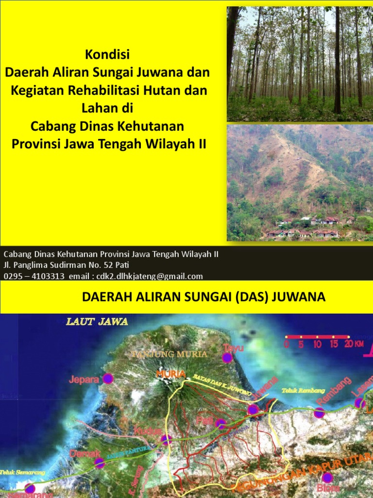 presentasi 13 Juli 2023 CDK | PDF